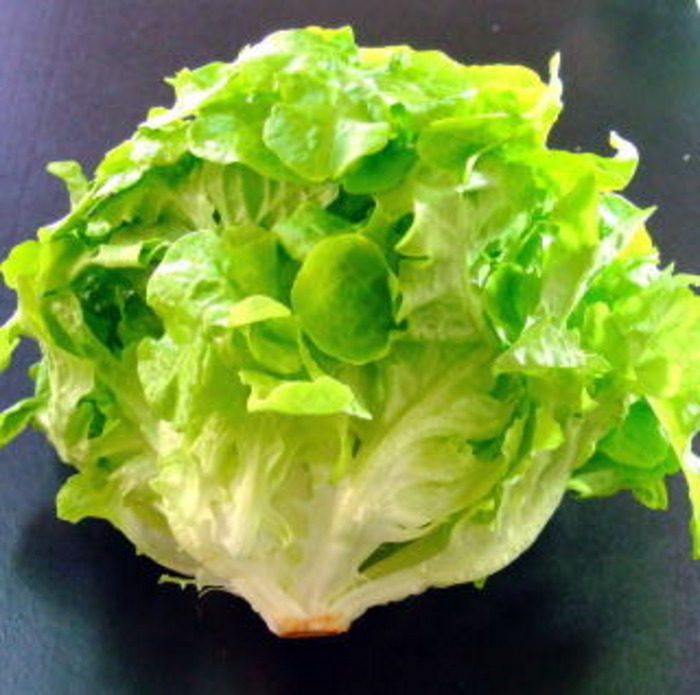 取扱い品目 飲食店・野菜・果物卸・配達仕入れは東京都目黒区月岡青果株）
